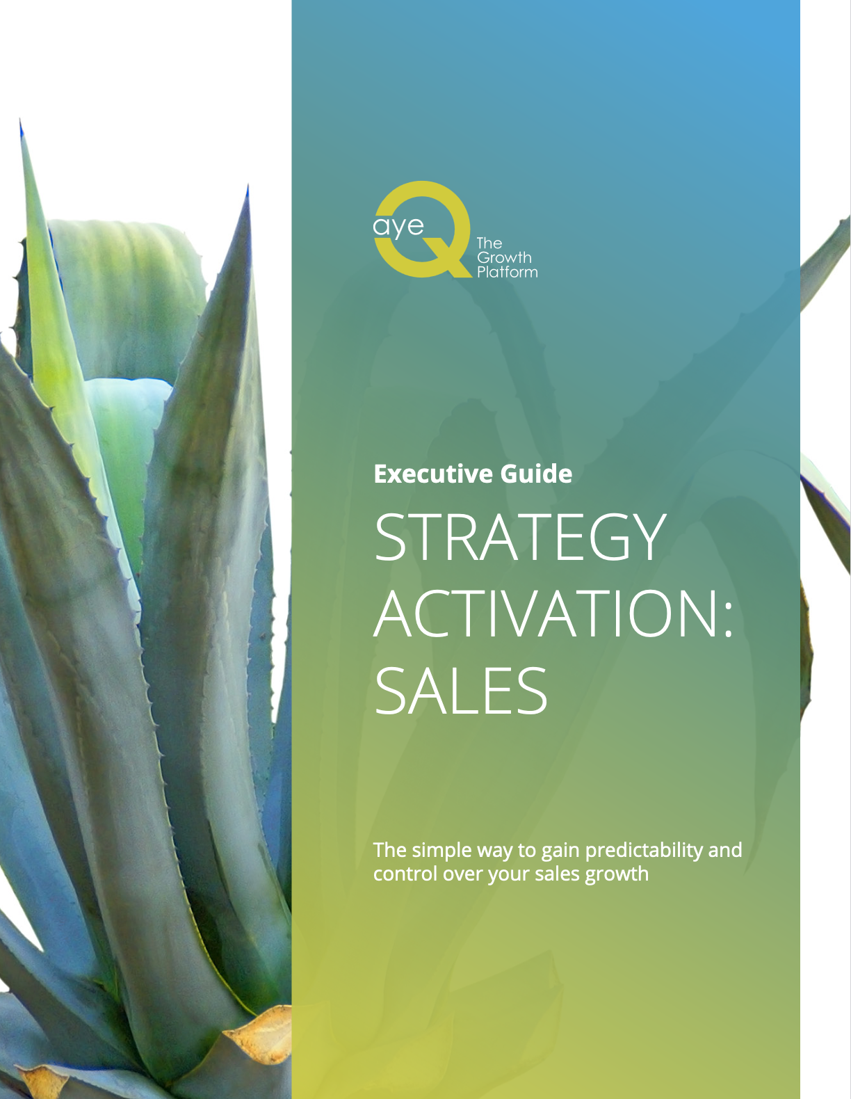 Strategy Activation: Sales - ayeQ
